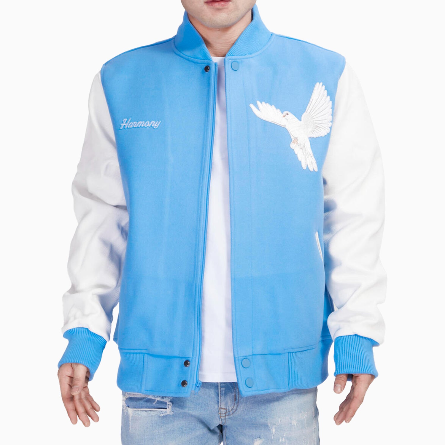 Roku Studio Men's Wolrd Harmony Varsity Jacket